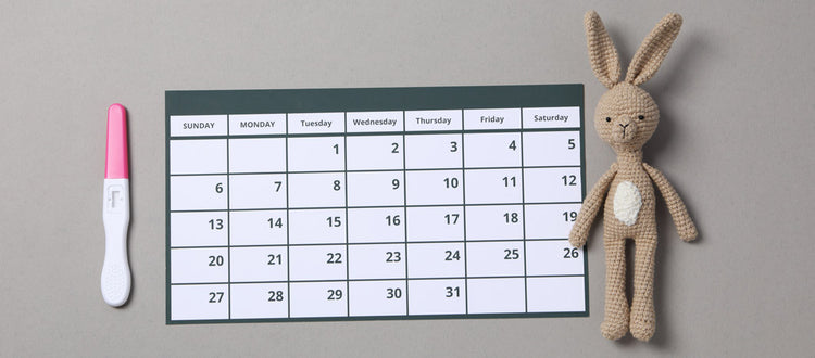 Using a Fertility Calendar to Predict Ovulation – Fairhaven Health